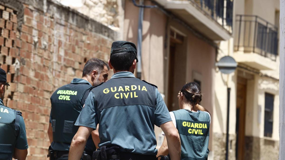 FP nueva policías y vigilantes: también sirve para la Guardia Civil