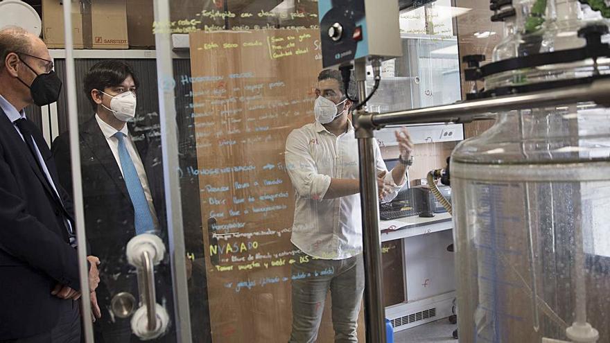 Química del Nalón aspira a que su filial Nanovex sea líder en el sector ...