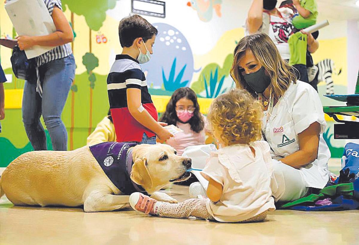 HOSPITAL REINA SOFÍA CÓRDOBA | El beneficio de la terapia canina