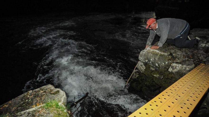 Los romanos tampoco pescarían lamprea