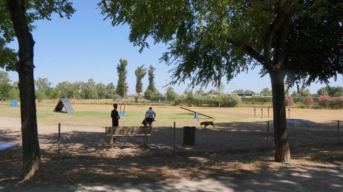 El parque de Sevilla con bosques, juegos y lagunas con patos perfecto ...
