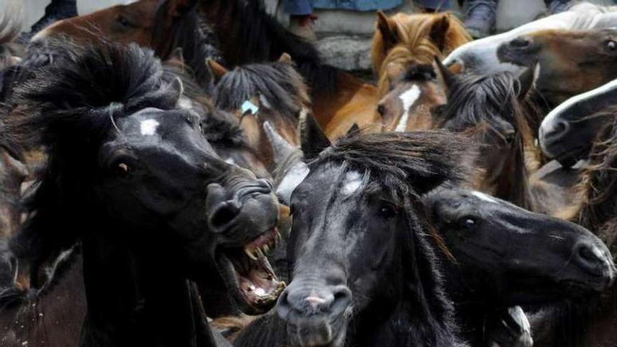 La banda sonora de la Rapa