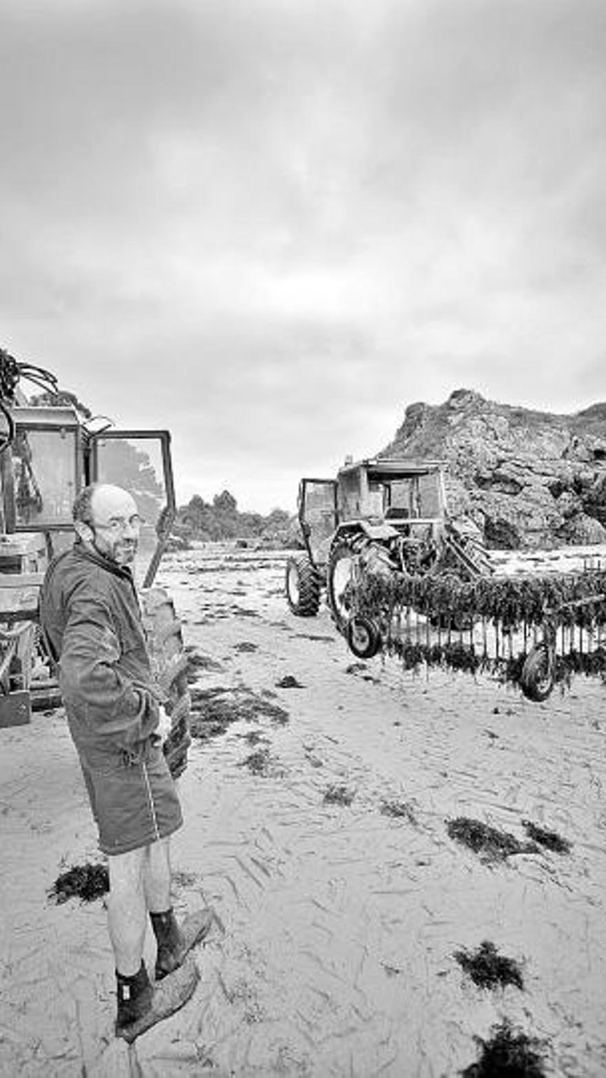 El ocle, como hace treinta años - La Nueva España