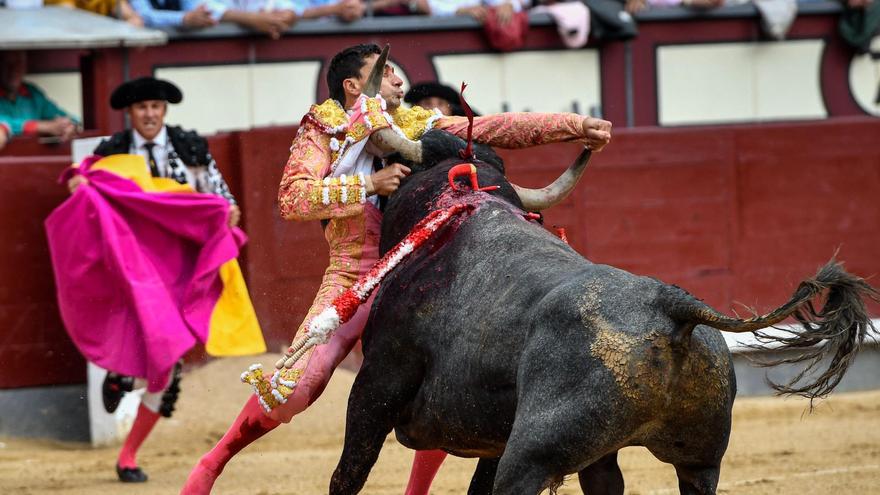 Paco Ureña en Las Ventas: Dar el corazón a un toro de Victorino Martín