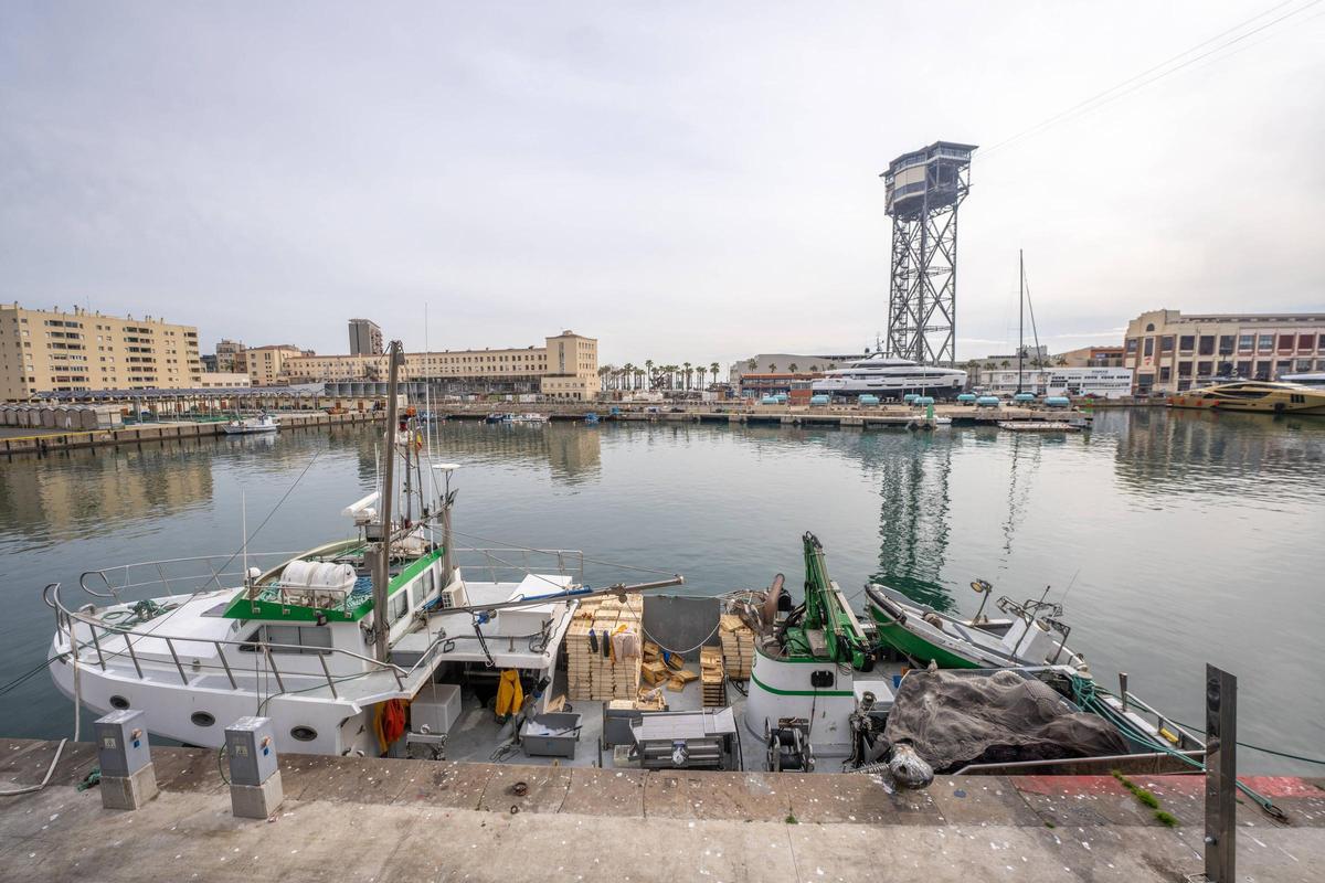 El Moll de Pescadors de Barcelona se abre al público | FOTOS