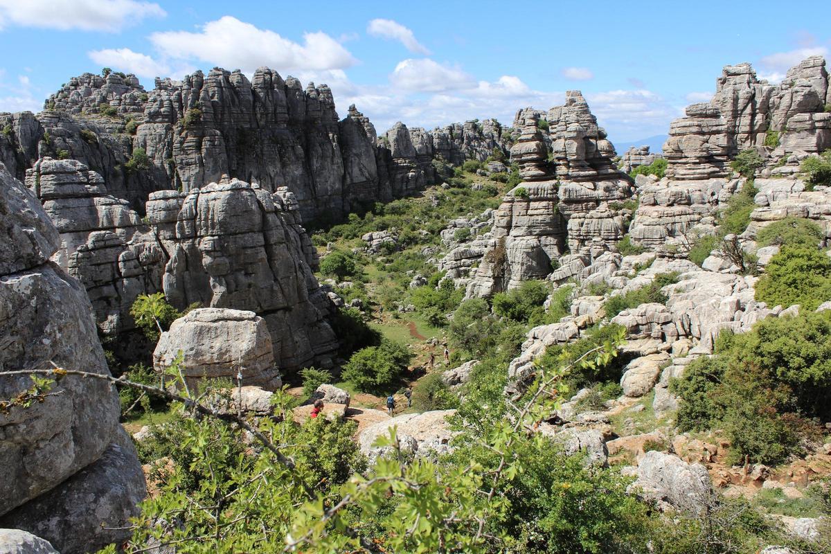 Flora del Torcal de Antequera | El árbol centenario que preside el ...