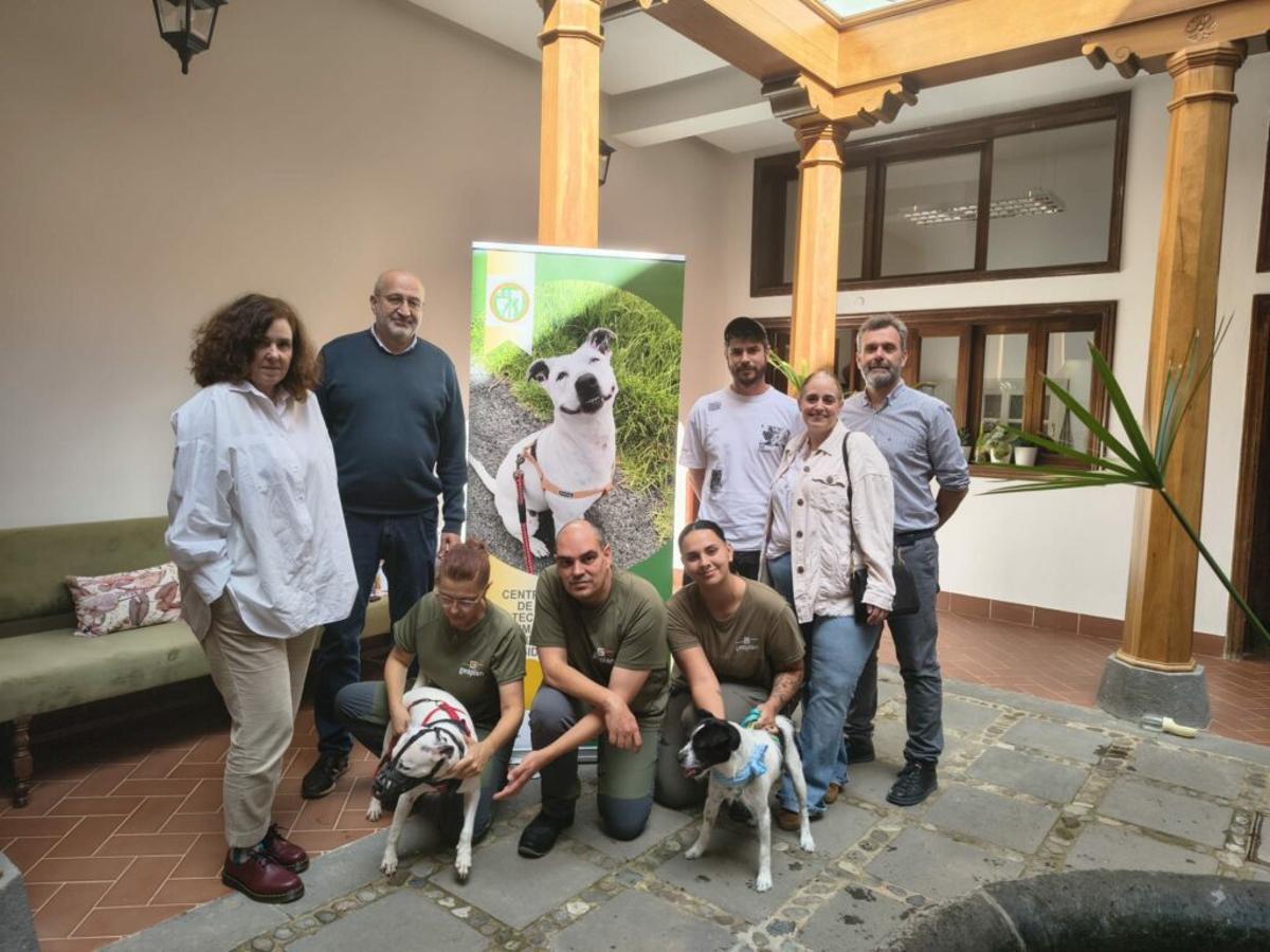El Ayuntamiento de Santa Brígida pone en marcha su primer voluntariado ...