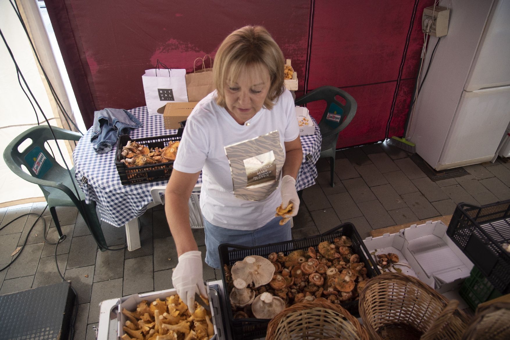 Mercat del Bolet de Cal Rosal 2022 - Regió7
