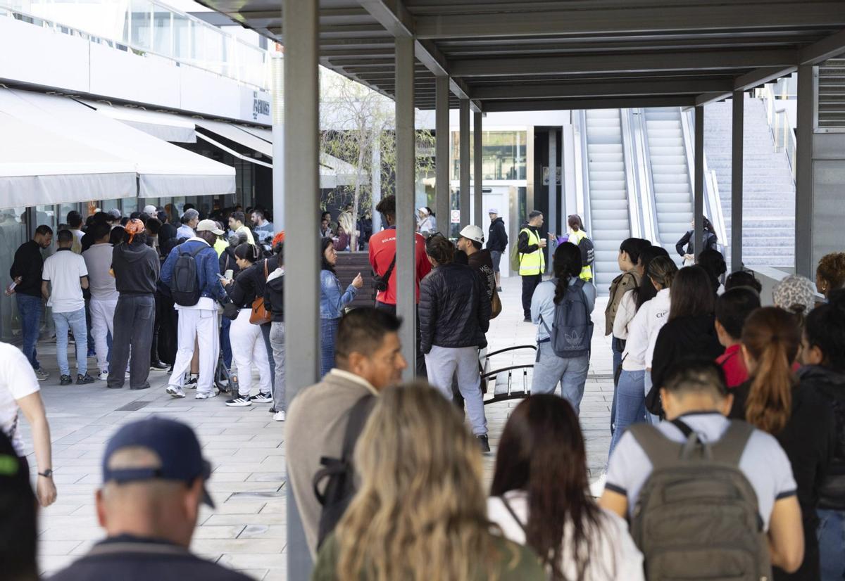 REGULARIZACIÓN IBIZA: Regularización en Ibiza: Los ayuntamientos ...