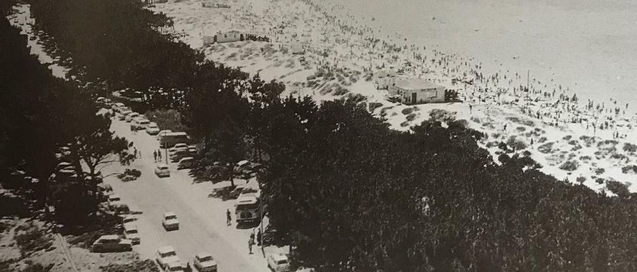 Biólogos aplauden la regeneración de Samil y piden más educación ...