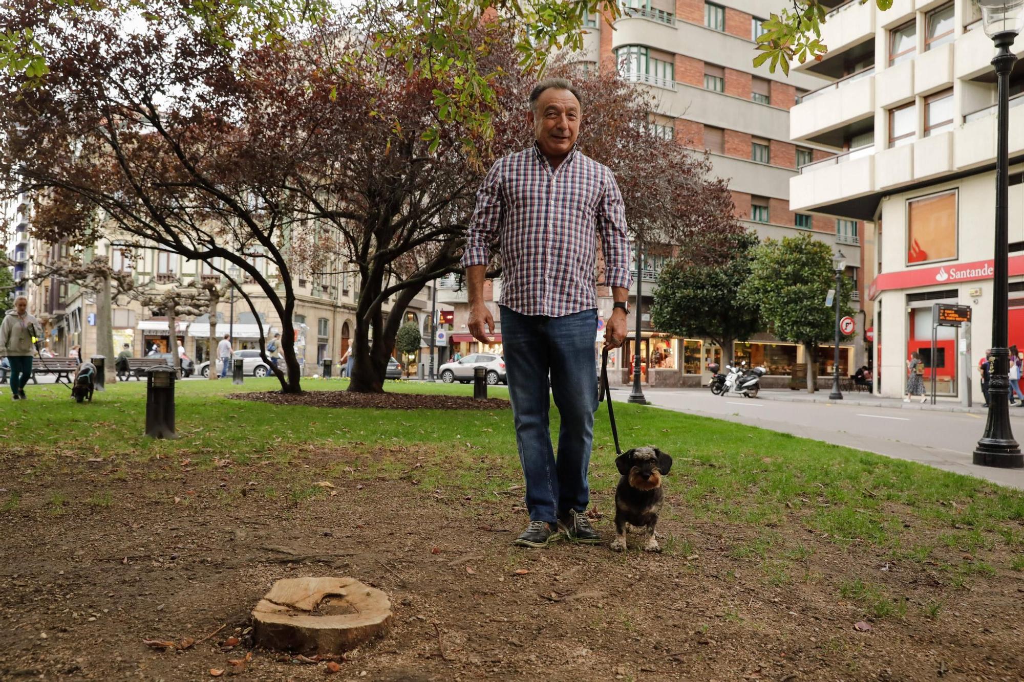 La Plazuela espera por "mejores cuidados" (en imágenes) - La Nueva España