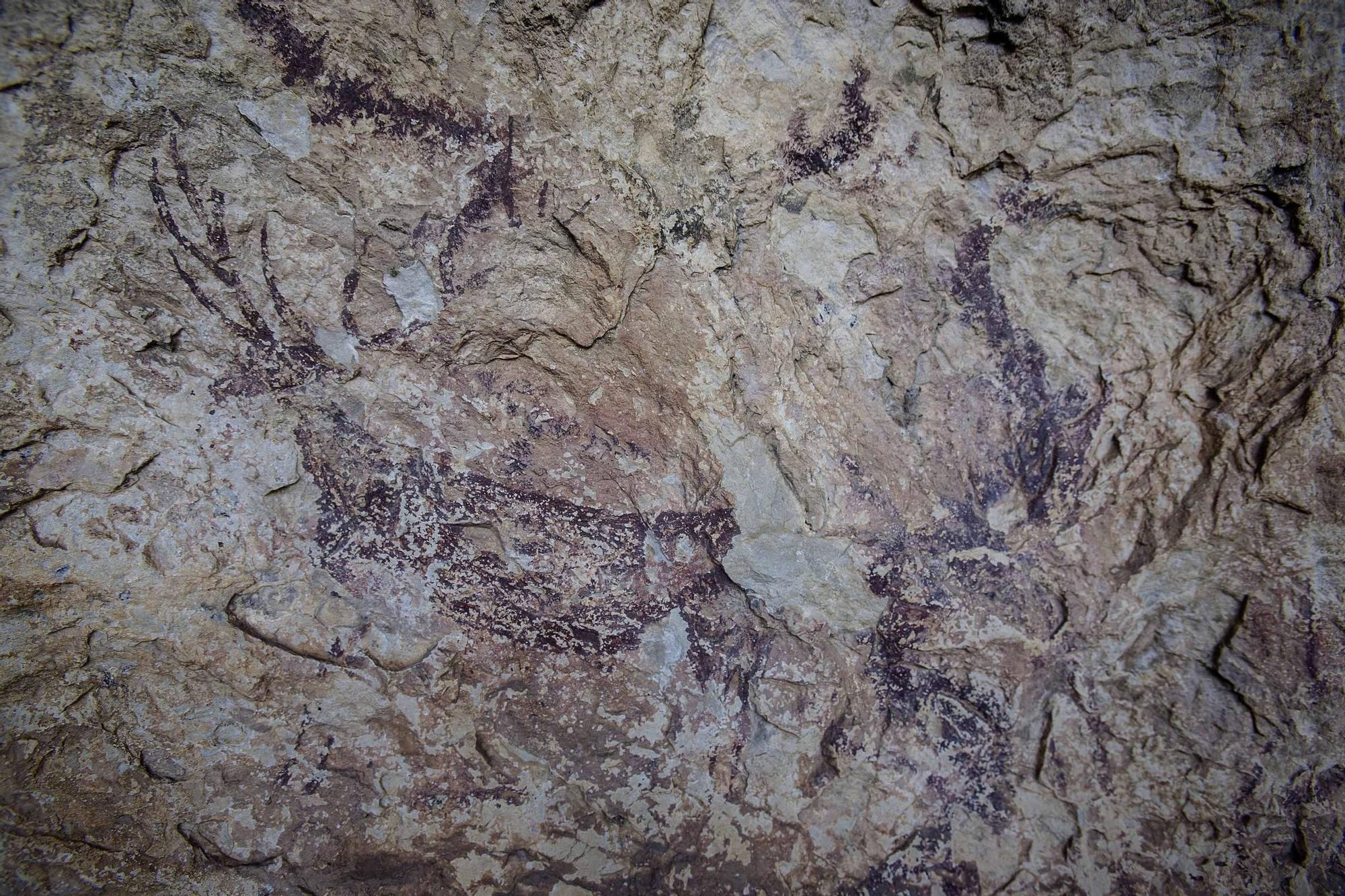 Pinturas rupestres de la Sarga en Alcoy, una visita imprescindible ...