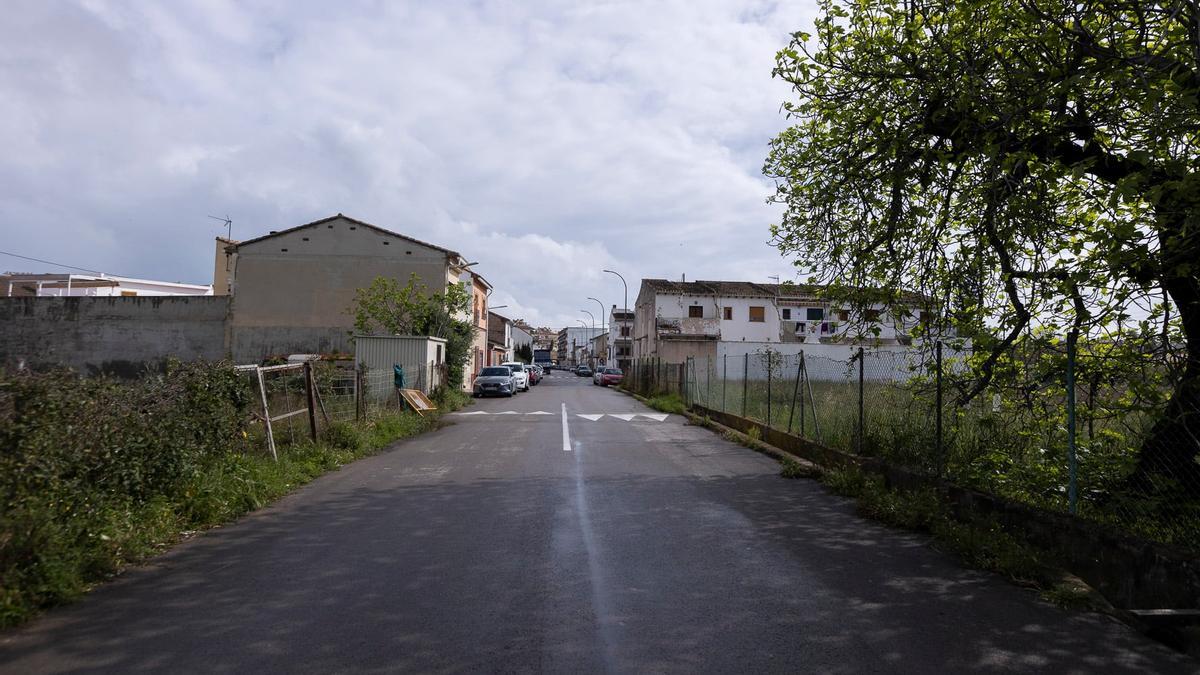 La empresa del futuro ecocámping de Gandia paga la mejora de los accesos