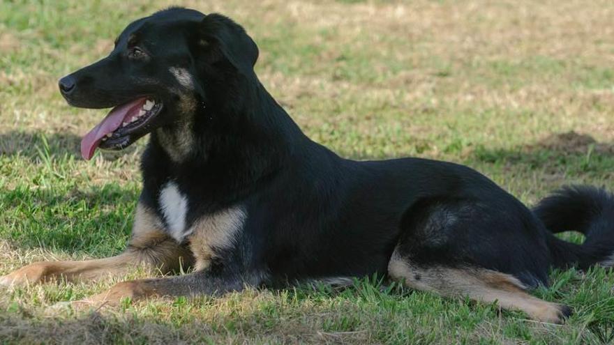 "Rufo" ya tiene doble para la gran pantalla