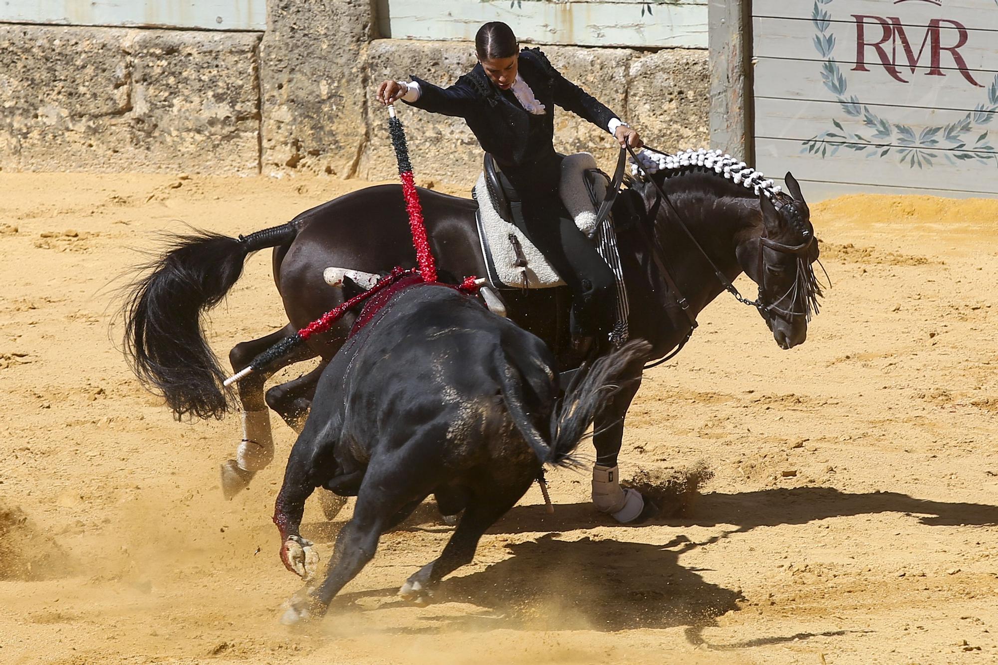 La corrida rondeña de rejones de 2022, en imágenes - La Opinión de Málaga