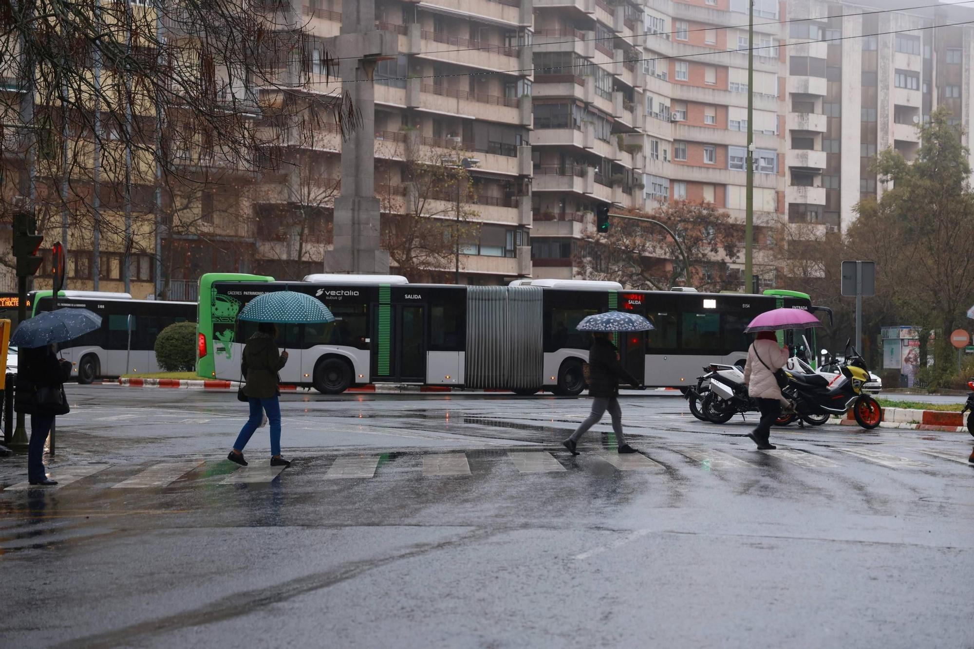 Hernando de Soto: la desidia de Cáceres - El Periódico Extremadura