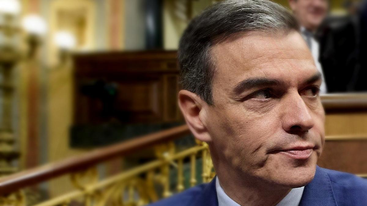 PEDRO SANCHEZ | Habla la autora del último libro de Pedro Sánchez: ‘No ...