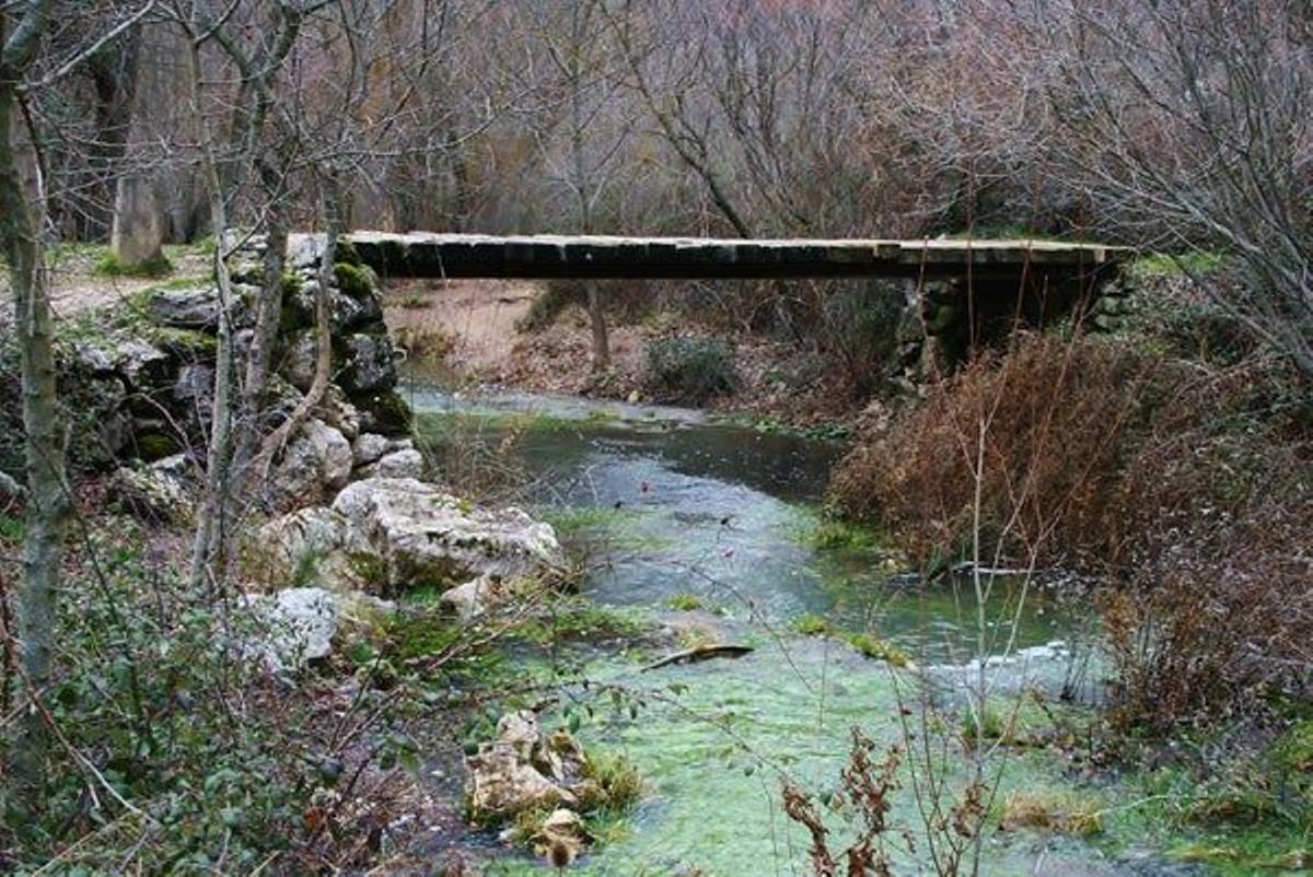 Pelegrina y el Parque Natural del Río Dulce - Viajar