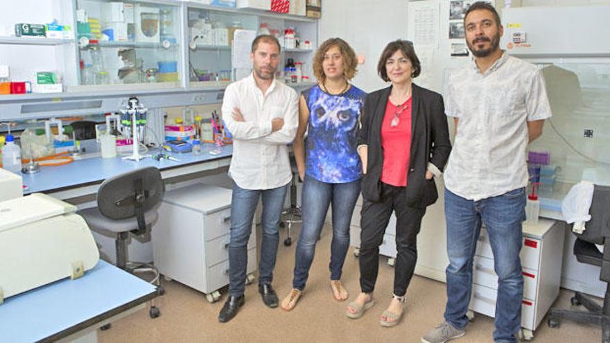 Investigadores de la Universidad de Alicante participan en el proyecto europeo Metafluidics