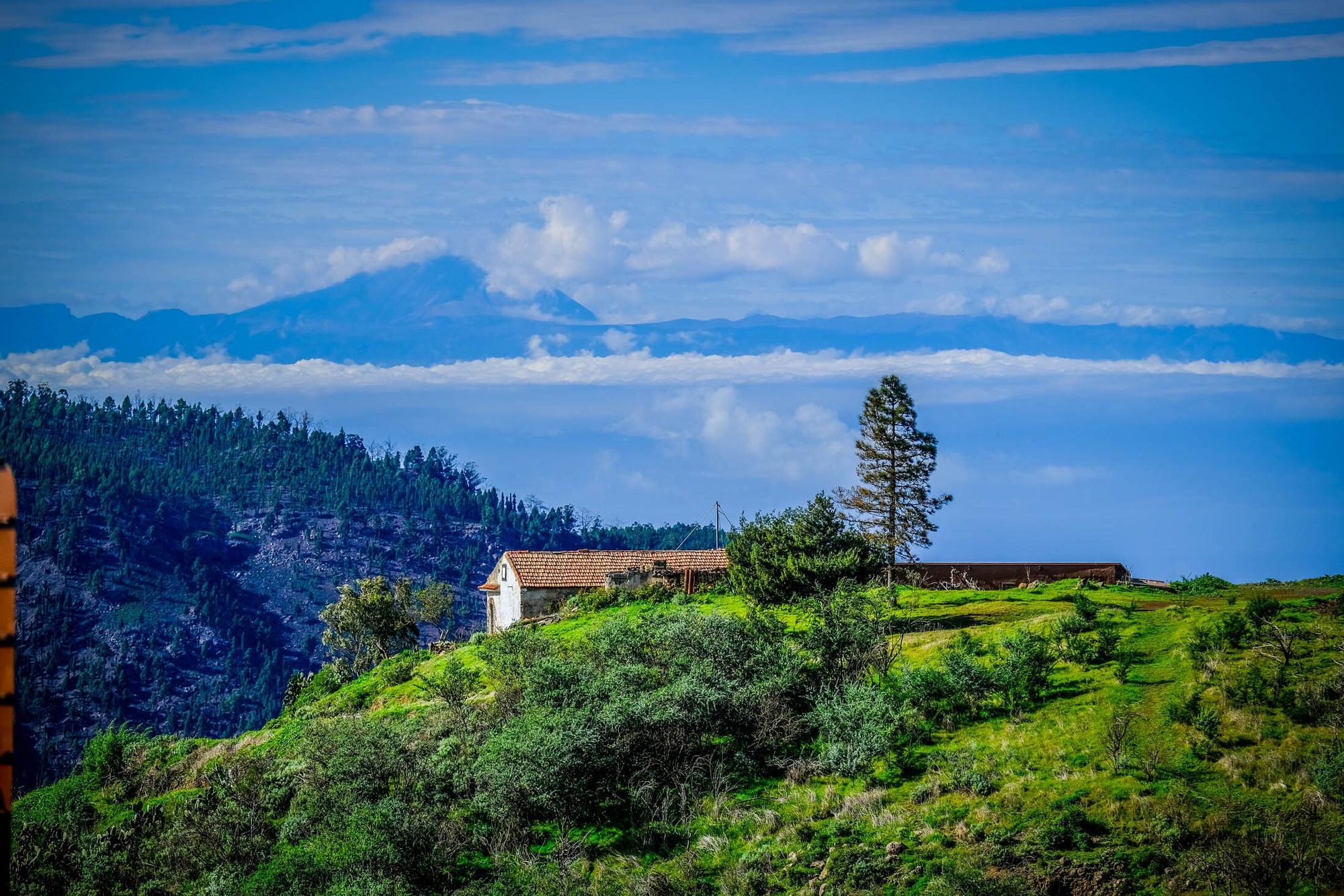 Gran Canaria: Isla Verde