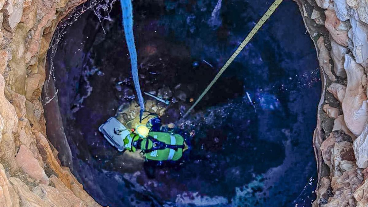 OTRO FELIZ RESCATE CANINO | Salvan a un perro que cayó en un profundo ...