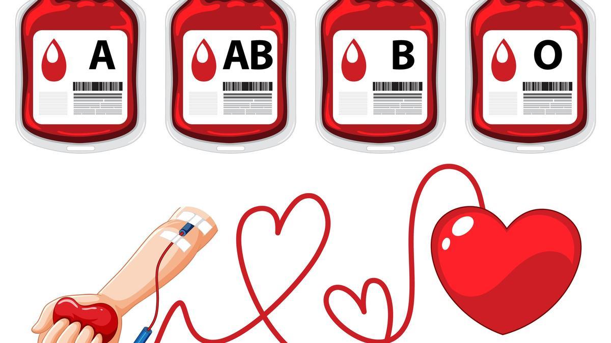 SANGRE CANARIAS | ¿Cómo es la sangre de los canarios? Estos son los ...