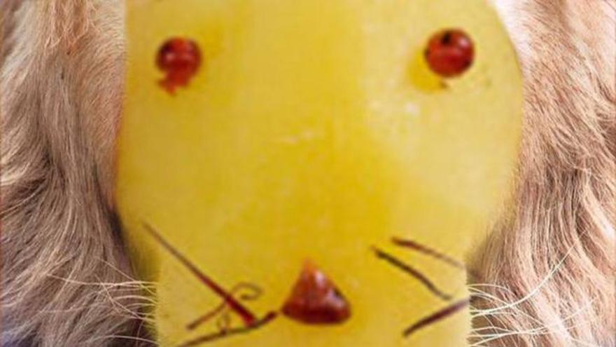 Los mejores memes de 'León come gamba'