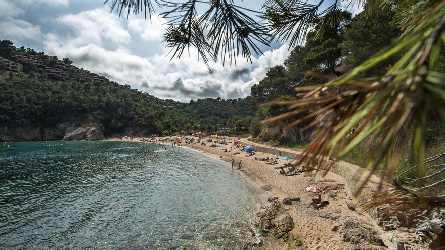 La carretera més bonica de Catalunya: entre penya-segats i vistes ...