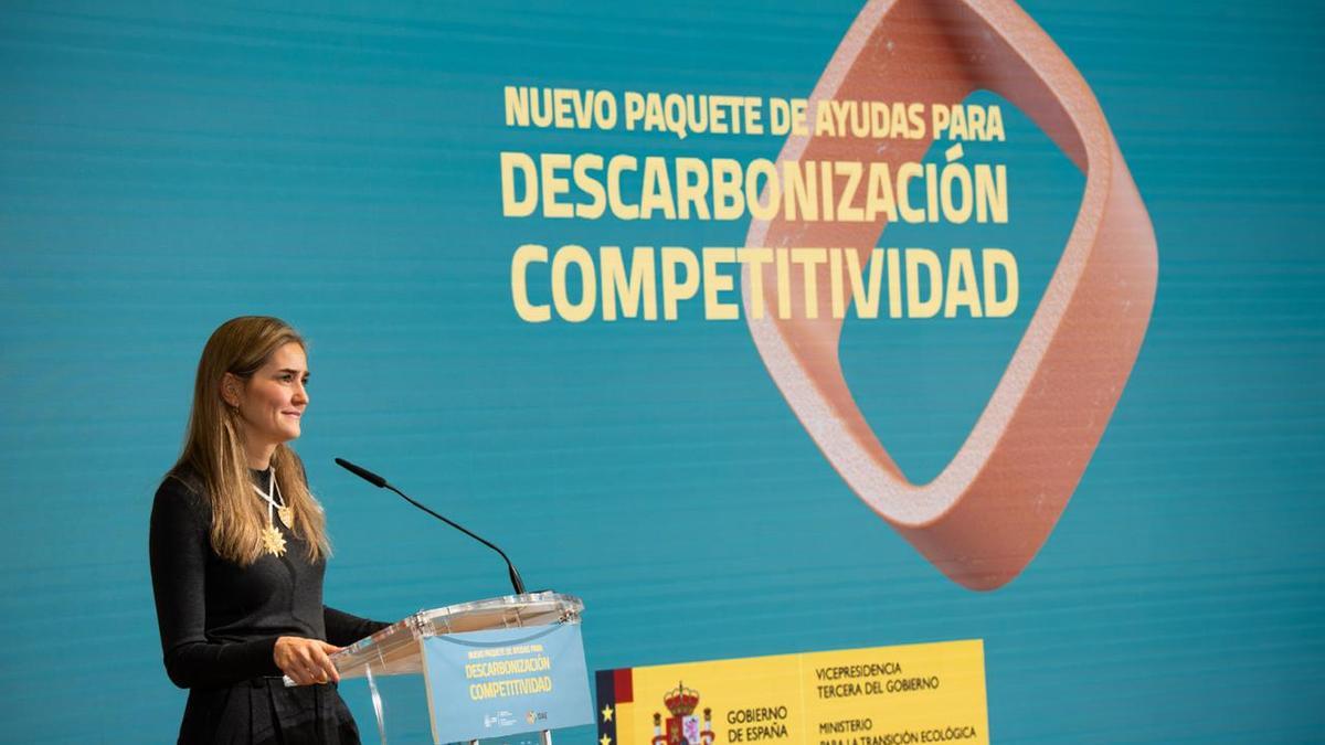 El Gobierno anuncia 2.000 millones en ayudas a la industria renovable ...