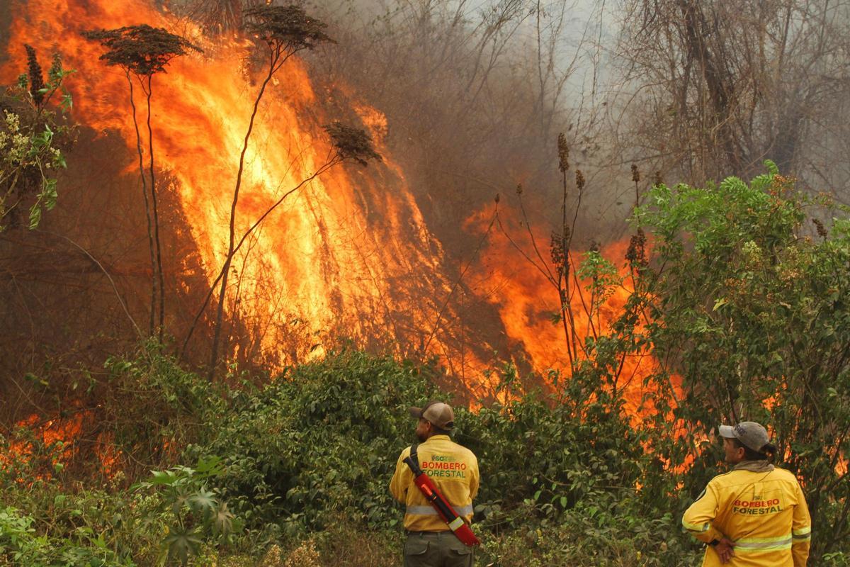 FOTOS |Incendios en Bolivia devastan una superficie del tamaño de Suiza ...