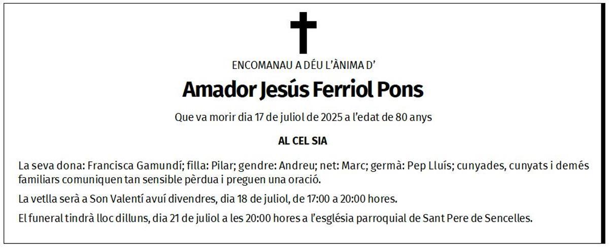 Amador Jesús Ferriol Pons