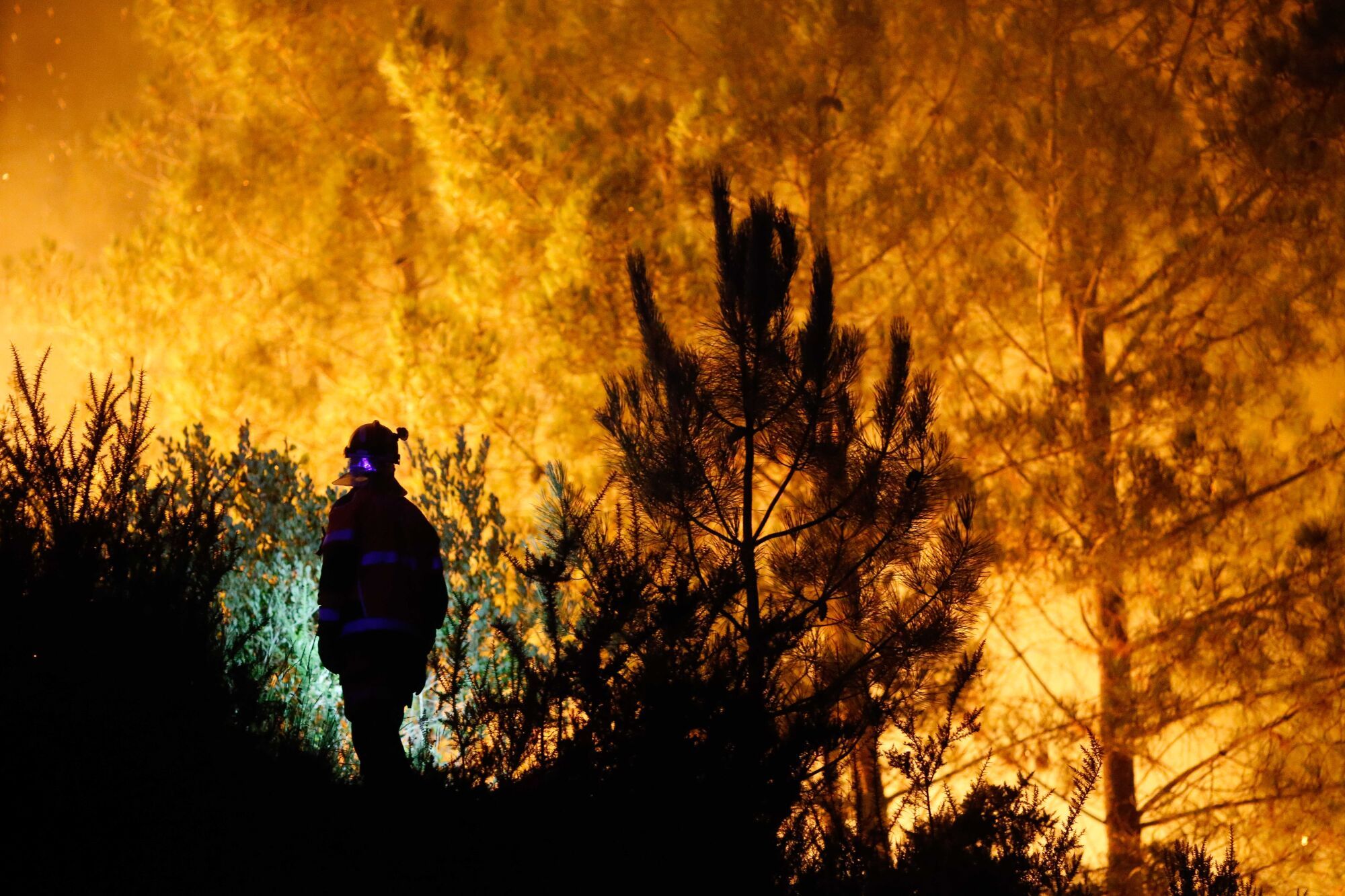 Las zonas arrasadas por la ola de incendios de Galicia, documentadas ...
