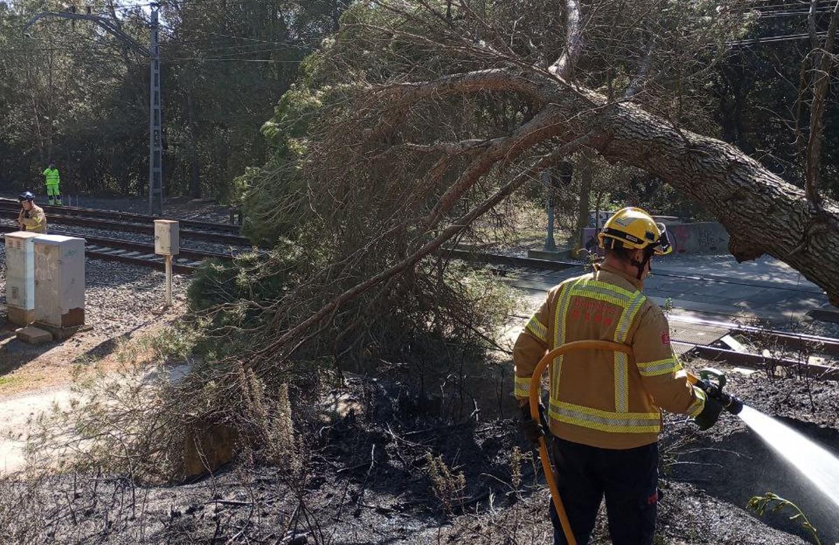 El Govern pidió a un alcalde que comprobara si había pasajeros en el ...