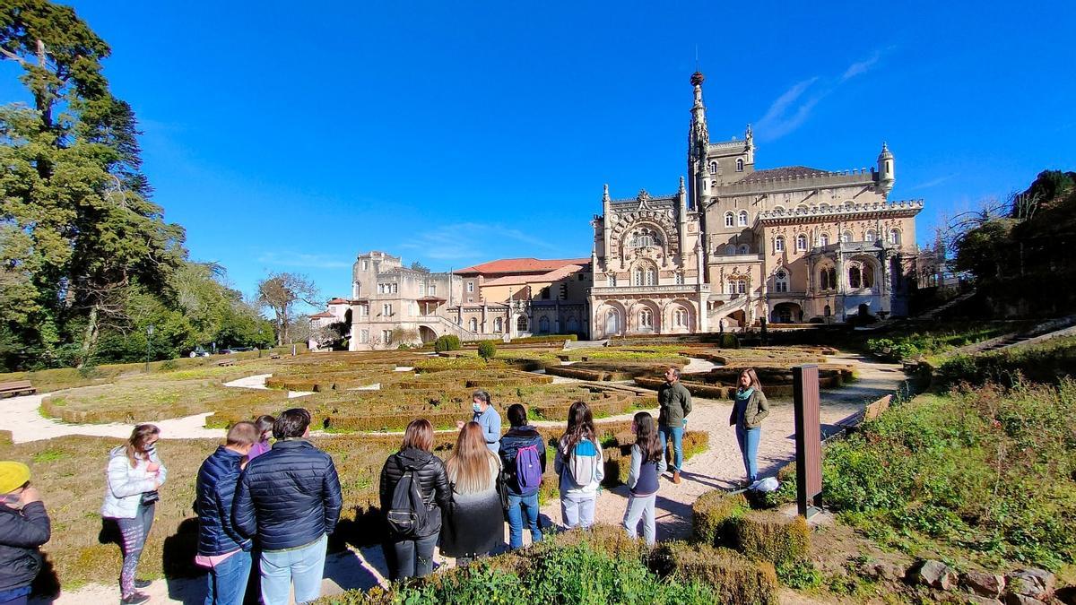 BUSACO PORTUGAL: Bussaco, el bosque mágico que te dejará hechizado