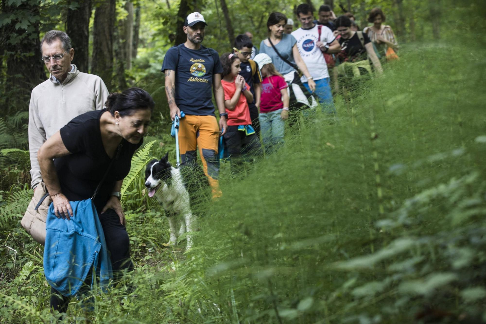 En imágenes: La Zoreda, un bosque "animado" para viajar en el tiempo ...