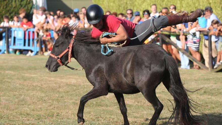 Día del Asturcón en las fiestas del Centro Asturiano - La Nueva España
