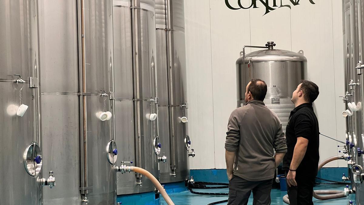 Entramos en los llagares para conocer la técnica del trasiego ...