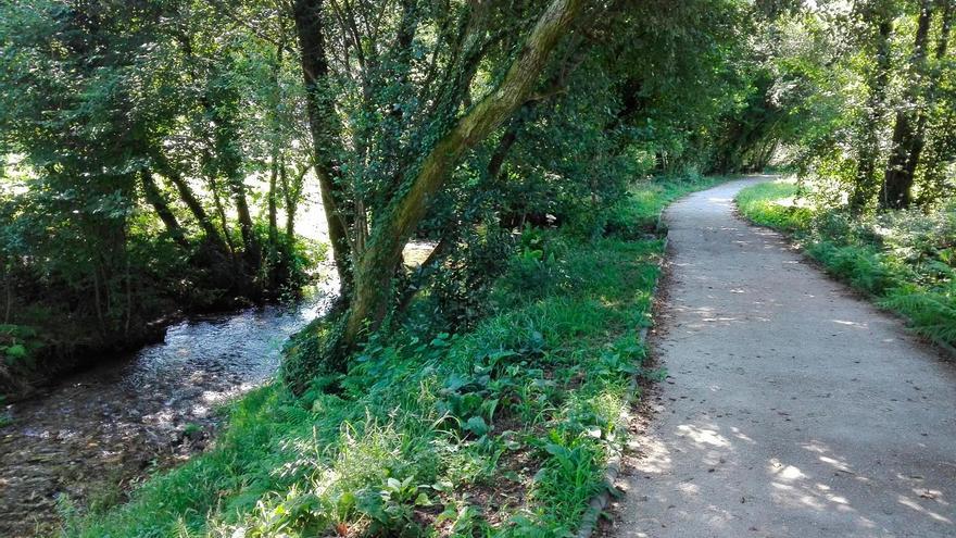 Cinco empresas compiten por mejorar el espacio fluvial del río Louro