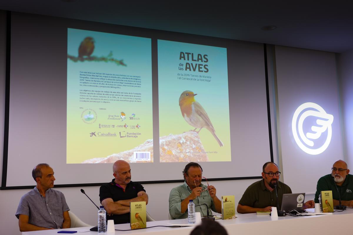 MEDIO AMBIENTE | El impacto del clima en las aves de la Font Roja y la ...