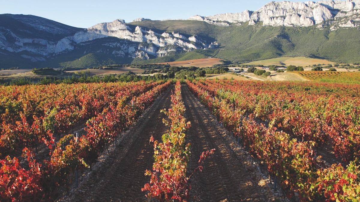 Álava: siete planes para descubrirla - Viajar