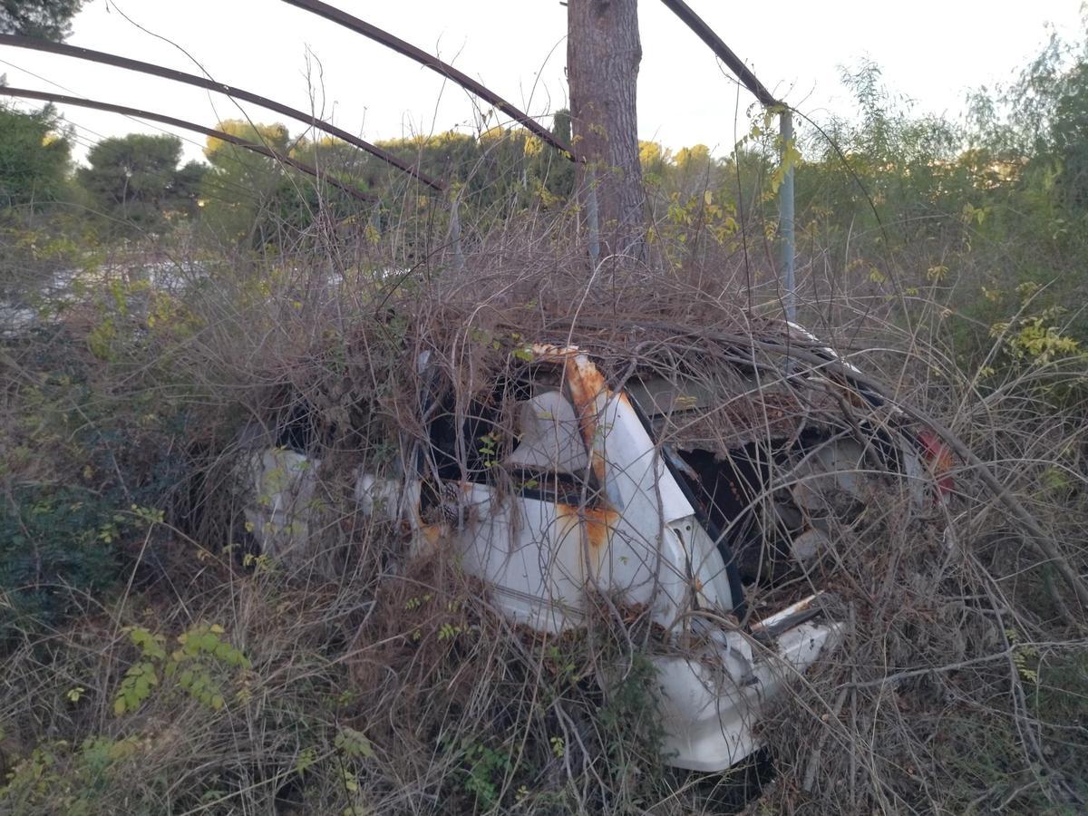 La Xàbia apocalíptica|La maleza se traga un coche