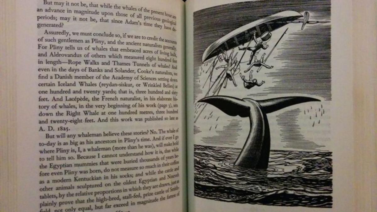 Salvar a Moby Dick y al capitán Ahab - Levante-EMV