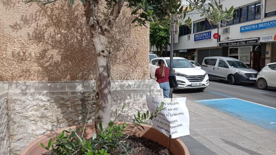 Respeto a las plantas