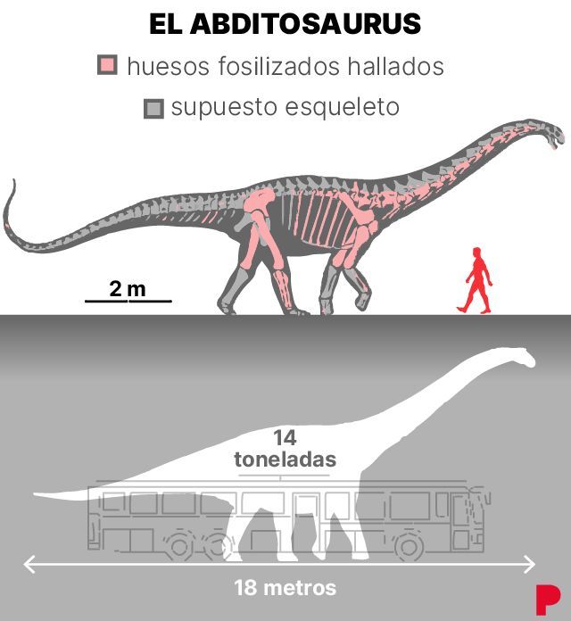 Hallan una nueva especie de dinosaurio que vivió en los Pirineos hace ...
