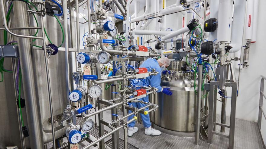 Zendal facturó 120 millones en 2022 y ultima la apertura de su fábrica ...