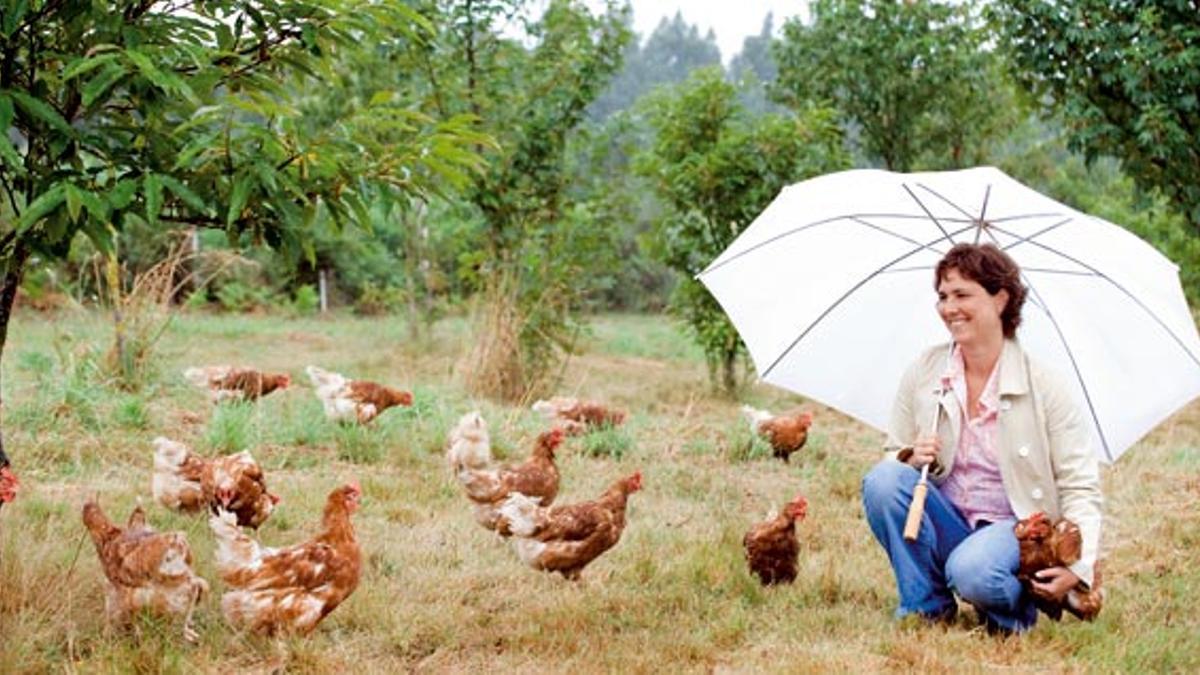 Huevos de gallina en libertad - Woman