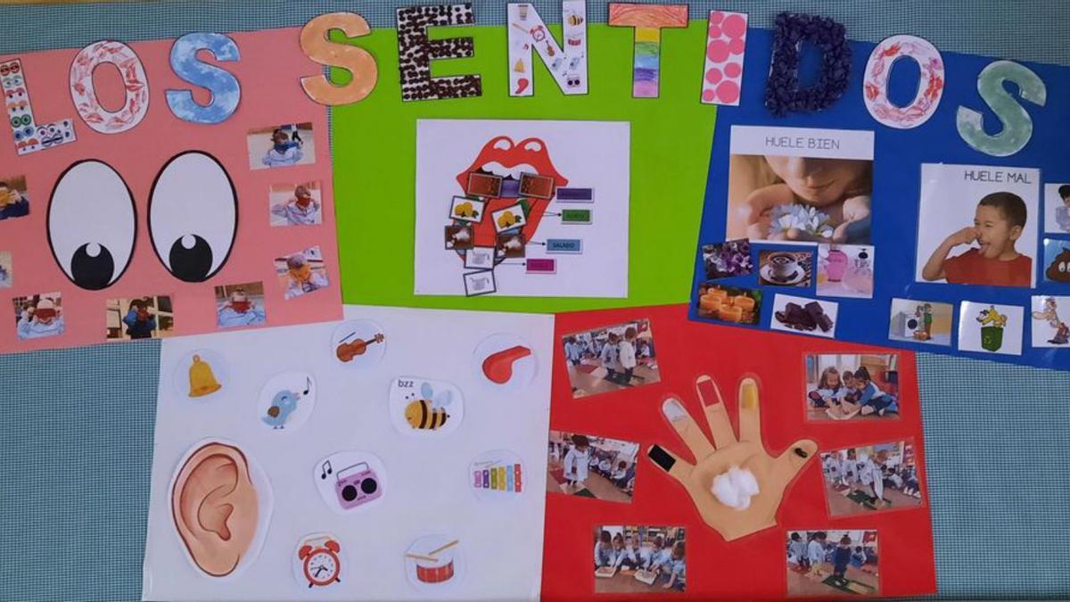 Un proyecto con el que aprender a través de los sentidos - Información