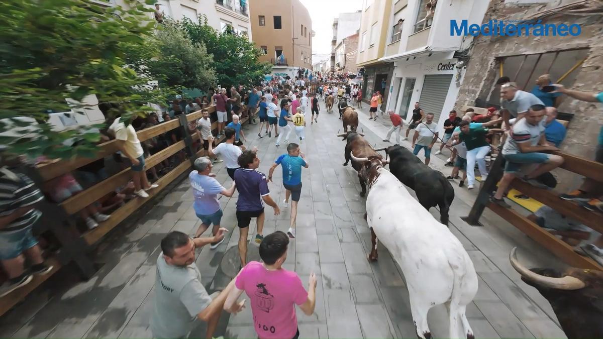 Vídeo del encierro de toros cerriles de les Penyes en Festes de la Vall ...