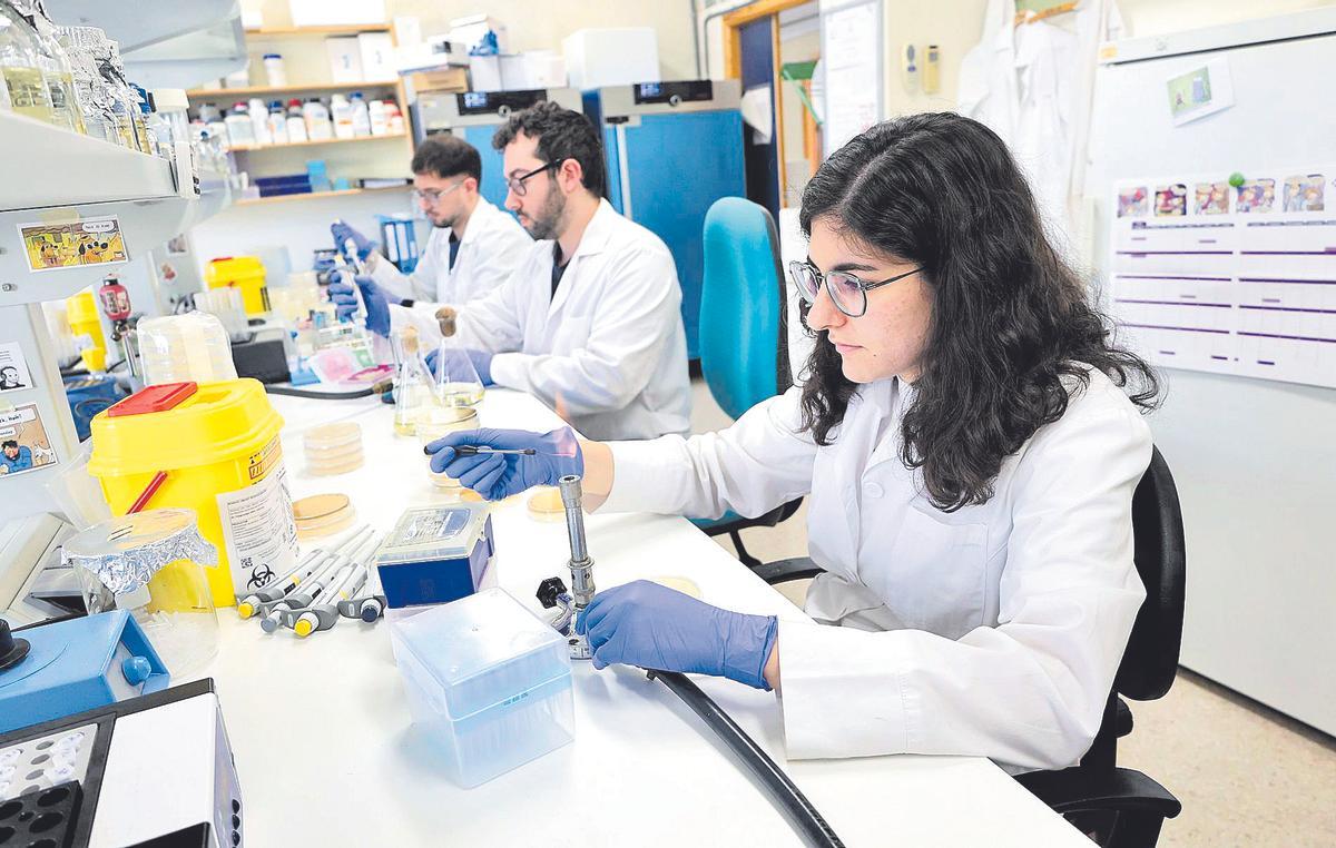 ANTIBIÓTICOS | Un hallazgo que ayudará a los humanos a ser más ...