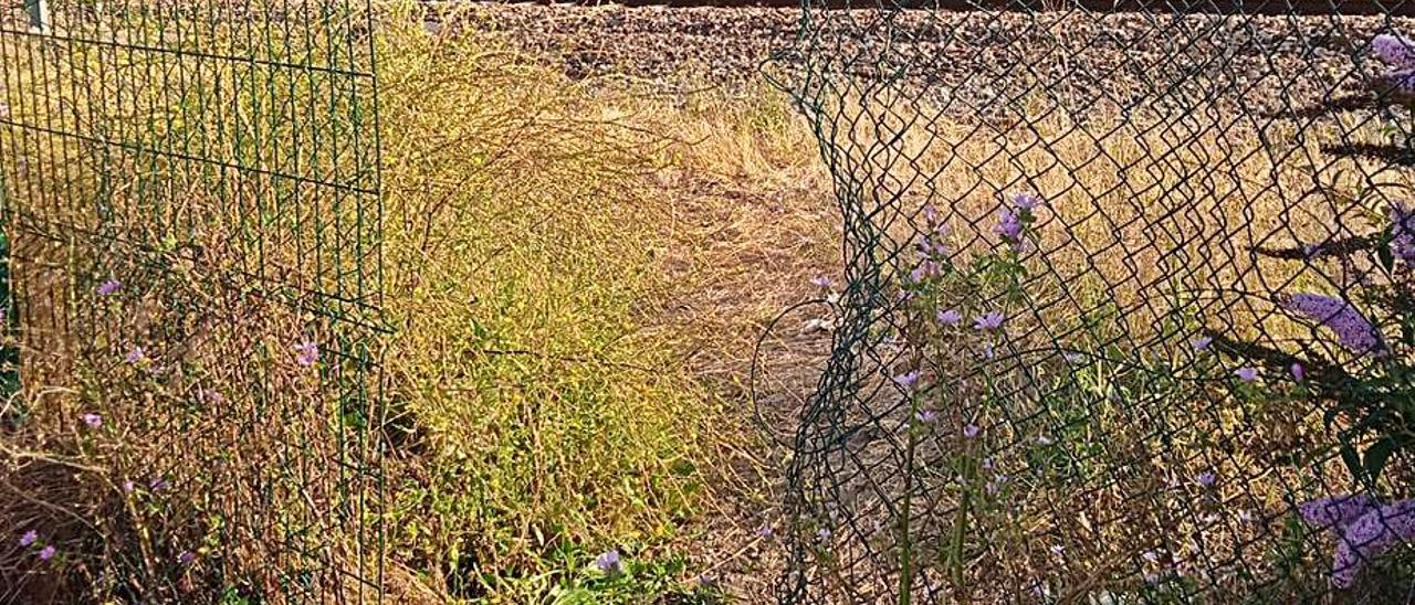 Los viajeros alertan: falta control en la estación de Renfe de La ...